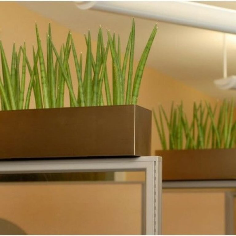 Cubicle Accessories greencleandesigns.com Cubicle Planter Partition